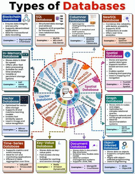 Exploring The Different Types Of Databases Databases Are The Backbone