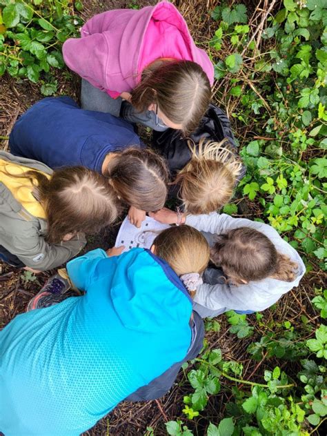 Inselpark Ferienspaß Auf Minitopia