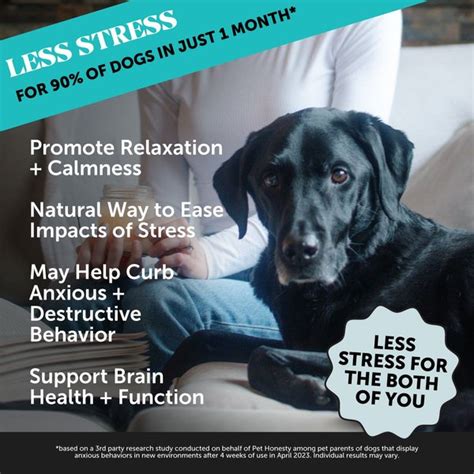 Pethonesty Hemp Calming Max Strength Duck Flavored Calming And Anxiety