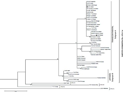 Phylogenetic Tree Constructed Using Isolates Based On Long Terminal Download Scientific