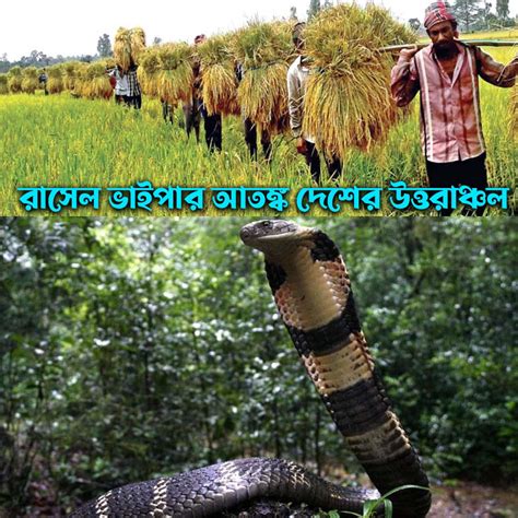 ভয়ঙ্কর বিপদ থেকে অল্পের জন্য প্রাণে বাঁচলেন মেসিদি মারিয়া একটুর
