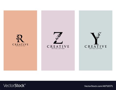 Set Of Botanical Minimalistic Initial Letter R Z Vector Image