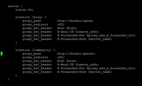 Nginx Reverse Proxy