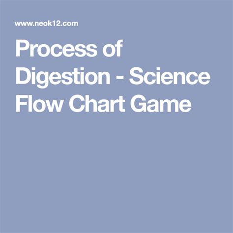 Process Of Digestion Flow Chart Game