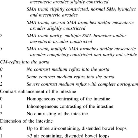 Standardized Reporting System And Definition Of Each Category