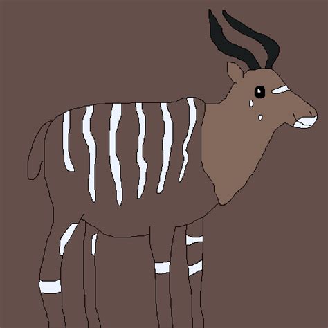 Nyala Drawing By Lilkanyongmail On Deviantart