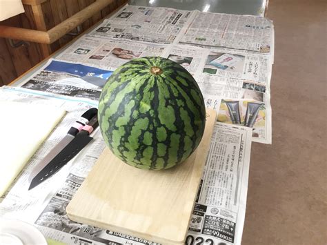 夏のおやつメディトピア小諸 医療法人 栁泉会
