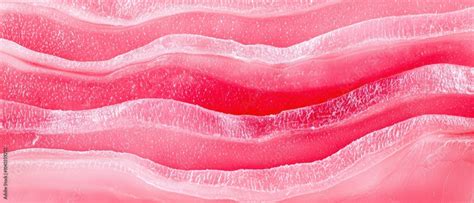 Digital Cross Section Of Human Skin Tissue Showing Layers Like