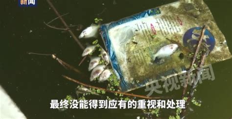 喝茅台也能喝死人”，荒谬回应暴露了什么问题腾讯新闻