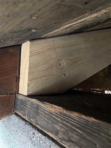 Sistering Rafters Quality Check Needed R Construction