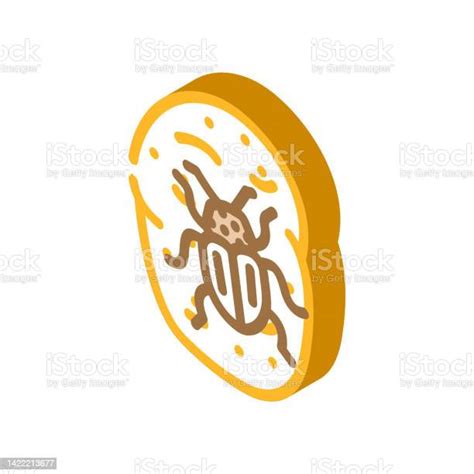 콜로라도 딱정벌레 아이소메트릭 아이콘 벡터 일러스트 레이 션 가방에 대한 스톡 벡터 아트 및 기타 이미지 가방 노랑 농업