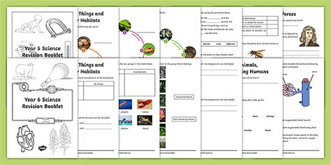 Uks2 Science Revision Booklets Teacher Made Twinkl