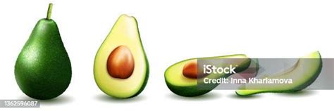 건강한 식사를위한 현실적인 녹색 아보카도 3d 렌더링 뼈를 가진 아보카도를 통 슬라이스 및 반으로 줄입니다 잘 익은 아보카도의 구성 흰색 배경에서 격리된 벡터 그림입니다 3