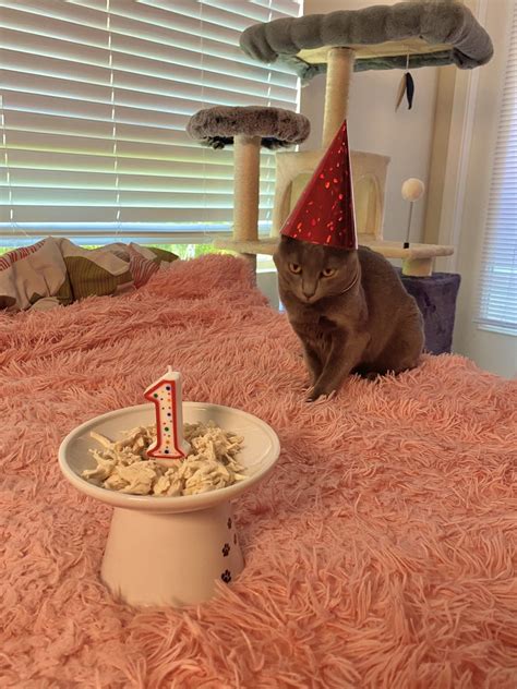 Darius Irl On Twitter Rt Denimstv Happy 1 Year Wormy 🎂