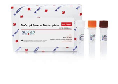 Truscript Reverse Transcriptase And Kits Cat 54440 54420 54400 Norgen Biotek Corp
