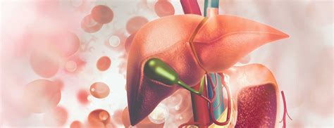 Peroral Cholangioscopy Johns Hopkins Medicine