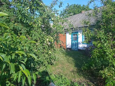 Продається батьківська хата: 75 000 грн. - Продаж будинків Клинове на Olx