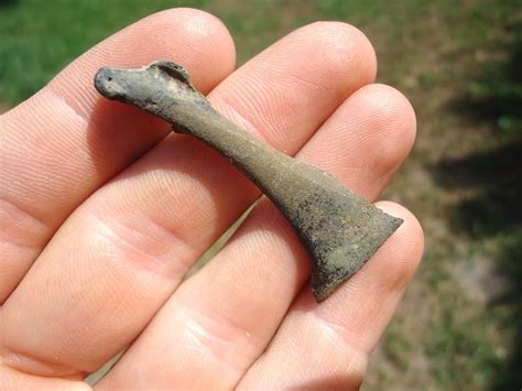 Choice Wood Duck Coracoid Recently Sold Fossils Prehistoric Florida