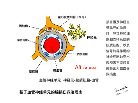 神经科医生手机必备图谱大全，赞！ 脑医汇