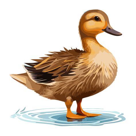 Free Duck Vector Sticker Clipart Duck Icon Duck Is Standing In Water Cartoon Sticker Clipart