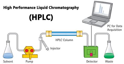 Hplc Chromatogram Interpretation