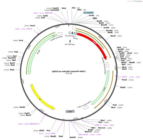 Addgene Pqe32 Pr Meosfp Meosfp V69t