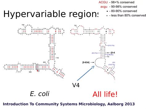 Amplicon Sequencing Introduction Pdf