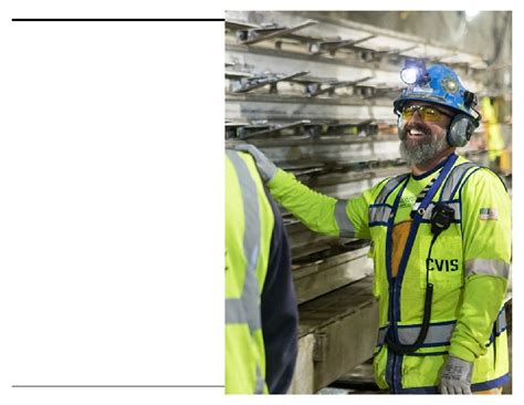 Cvis Catalog