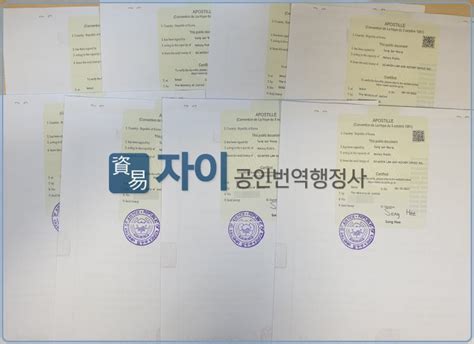 【e Apostille】 온라인 아포스티유로 즉시 발급 가능해요 네이버 블로그