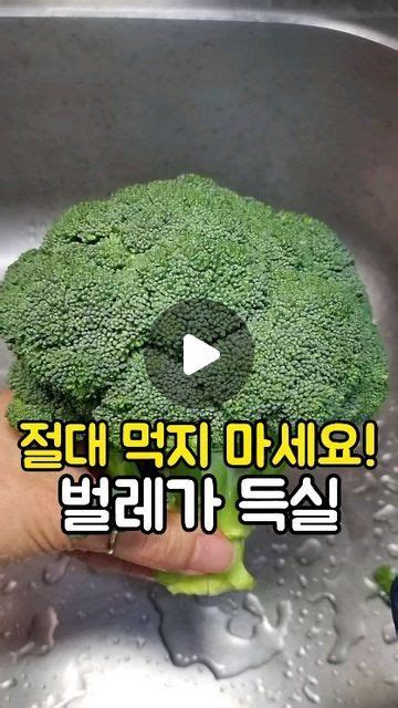 춘하니 꾹꾹 쉬운 • 집밥 • 레시피 On Instagram 😊 절대 이렇게 씻지 마세요 ⠀ ⠀ ⠀ 한사람이 일년간 먹는