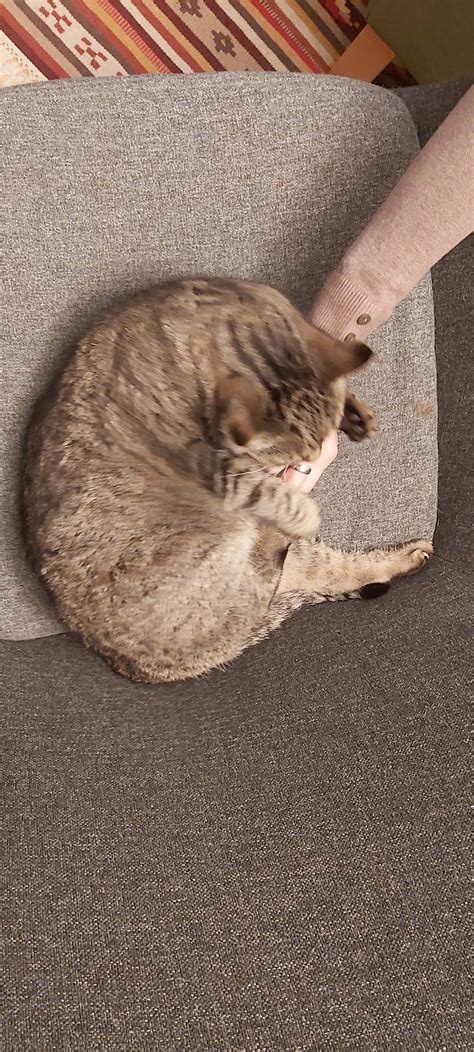 A Trap Scrolller