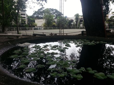 필리핀 생활 마닐라에서 승마 배우기 네이버 블로그