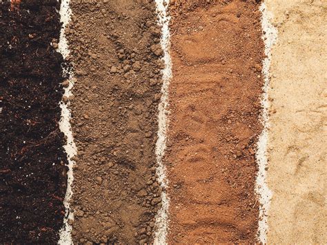 Diferentes Tipos De Solo Com Imagens A Cientista Agrícola O Que