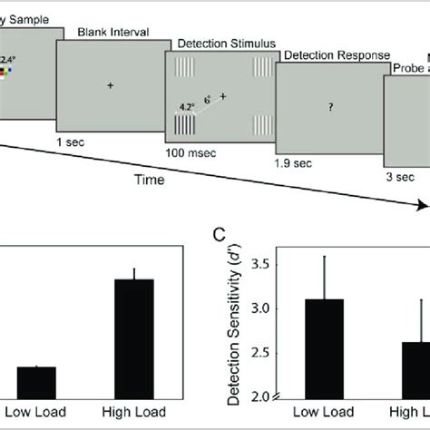 Experiment 1 Stimulus Sequence And Behavioral Results A