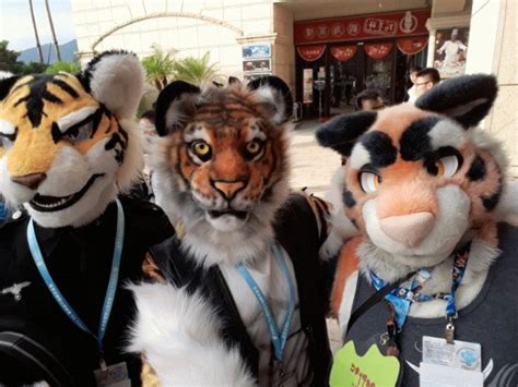 Kaosa Gaou 🔜 2023以茶會毛 On Twitter Infurnity2019 獸無限 Day1 🐯🐯🐯