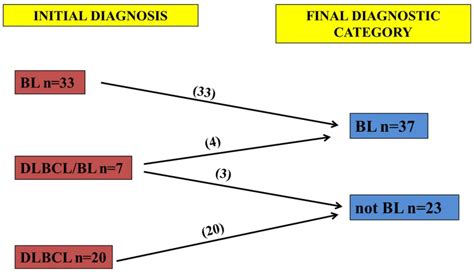 After The Revision Of 43 Bl 30 Dlbcl And 7 Dlbclbl Cases 47 Bl And