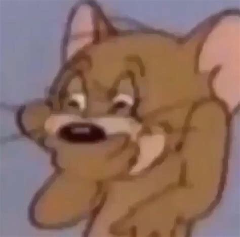 66 Tom And Jerry Meme Face Crying