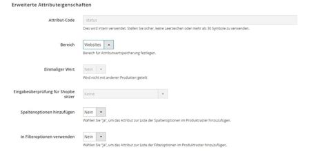 Attribute In Store Views Auf Standardwert Benutzen Setzen