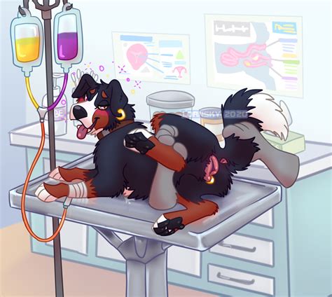 Rule 34 2020 Animal Genitalia Animal Pussy Artist Name Bernese