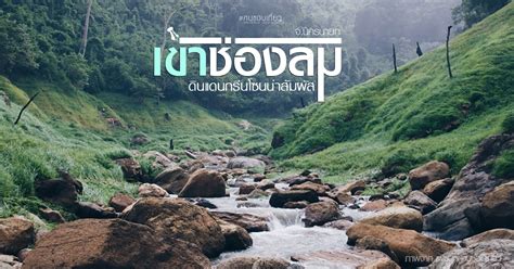 ความคิดเห็น เขาช่องลม จ นครนายก ดินแดนกรีนโซนที่ชวนไปเช็กอิน