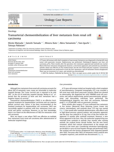 Pdf Transarterial Chemoembolization Of Liver Metastasis From Renal