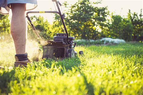 The Complete Guide To Lawn Mowing Lawn Mowing Tips