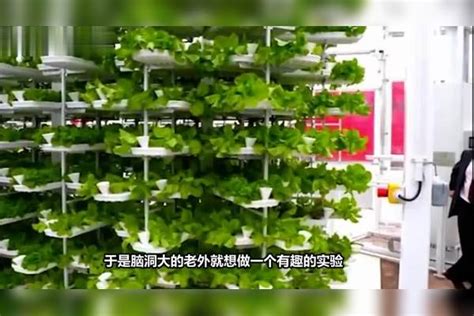 老外把鸡蛋送入太空，鸡蛋的下场会怎样？镜头记录下全过程下场老外镜头