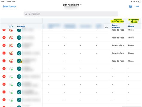 Why Do Segment Columns Display In The Veeva Align Enhanced Feedback