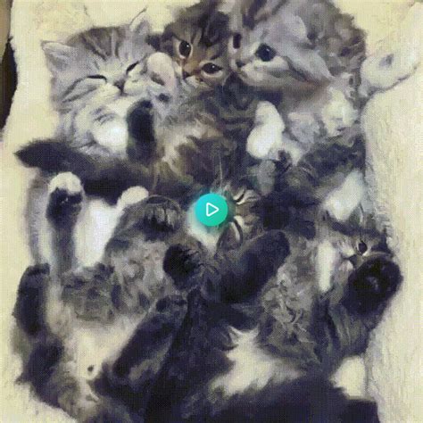 Cuddle Puddle
