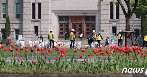 서울광장에 소나무숲 만든다…녹음이 있는 휴식공간으로 새단장