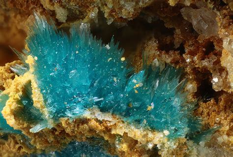 Mineralienatlas Lexikon - Serpierit
