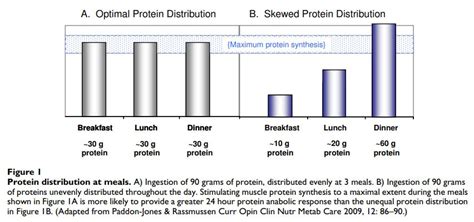 Overall Daily Protein Intake Is Essential For Overall Health But Did