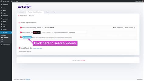 WPS Qué es WP Script y para qué se usa