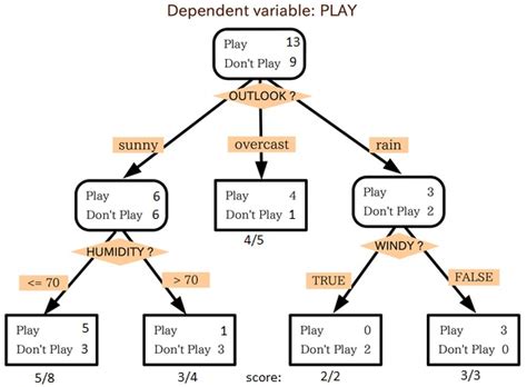 Top 10 Machine Learning Algorithms You Must Know In 2024